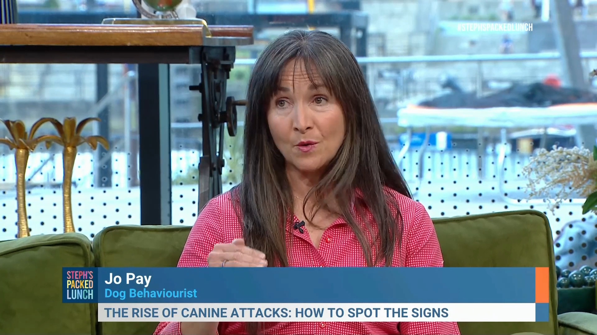 » TV & Media Standish Dog Trainer