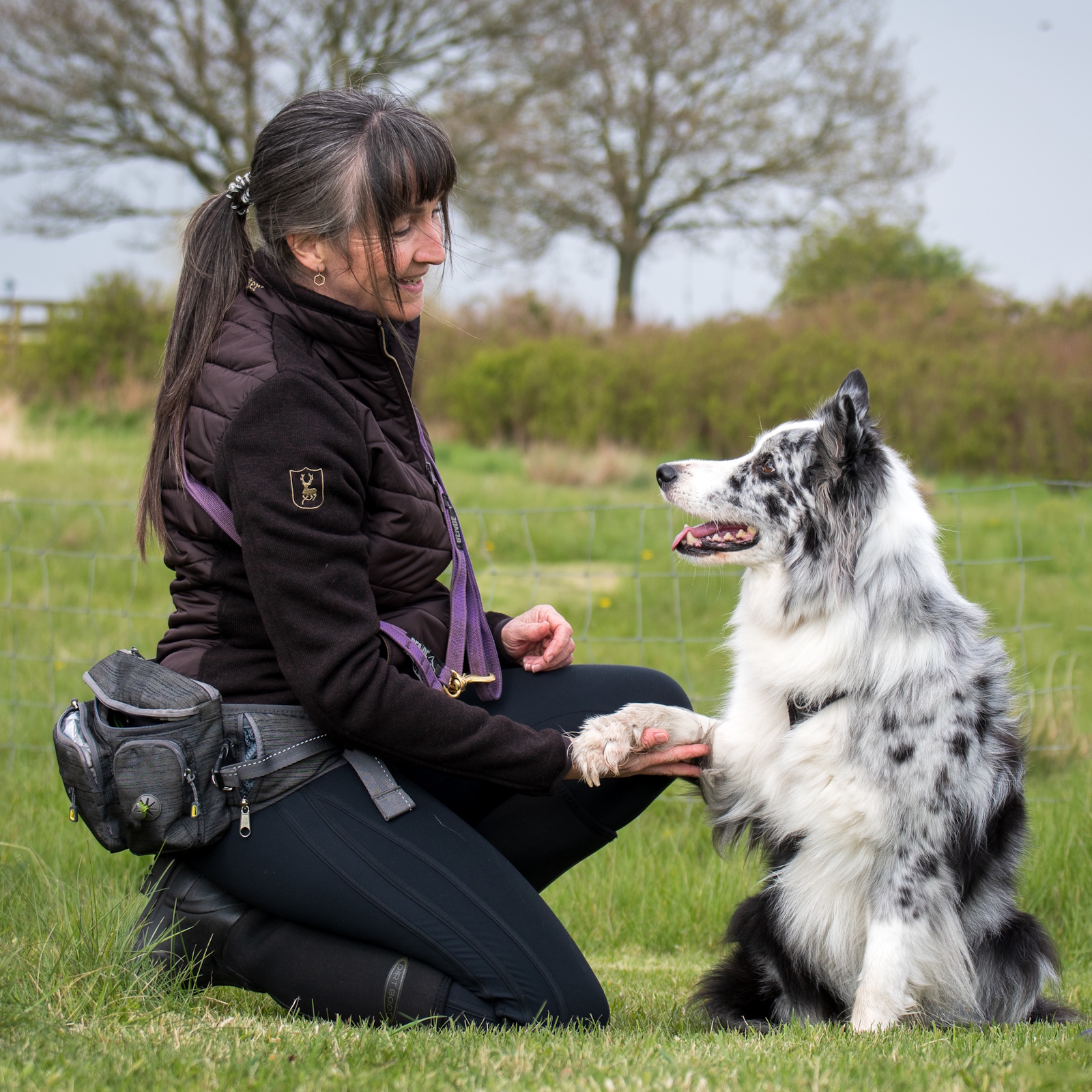 » Success Stories Standish Dog Trainer